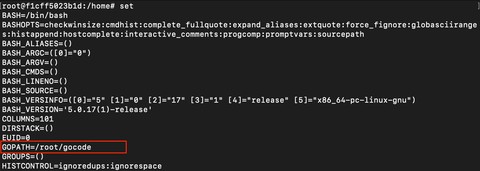 Create a Containerized Go Development Environment in Docker | Brett Fullam