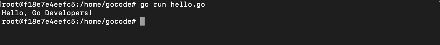 Create a Containerized Go Development Environment in Docker | Brett Fullam
