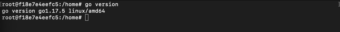 Create a Containerized Go Development Environment in Docker | Brett Fullam